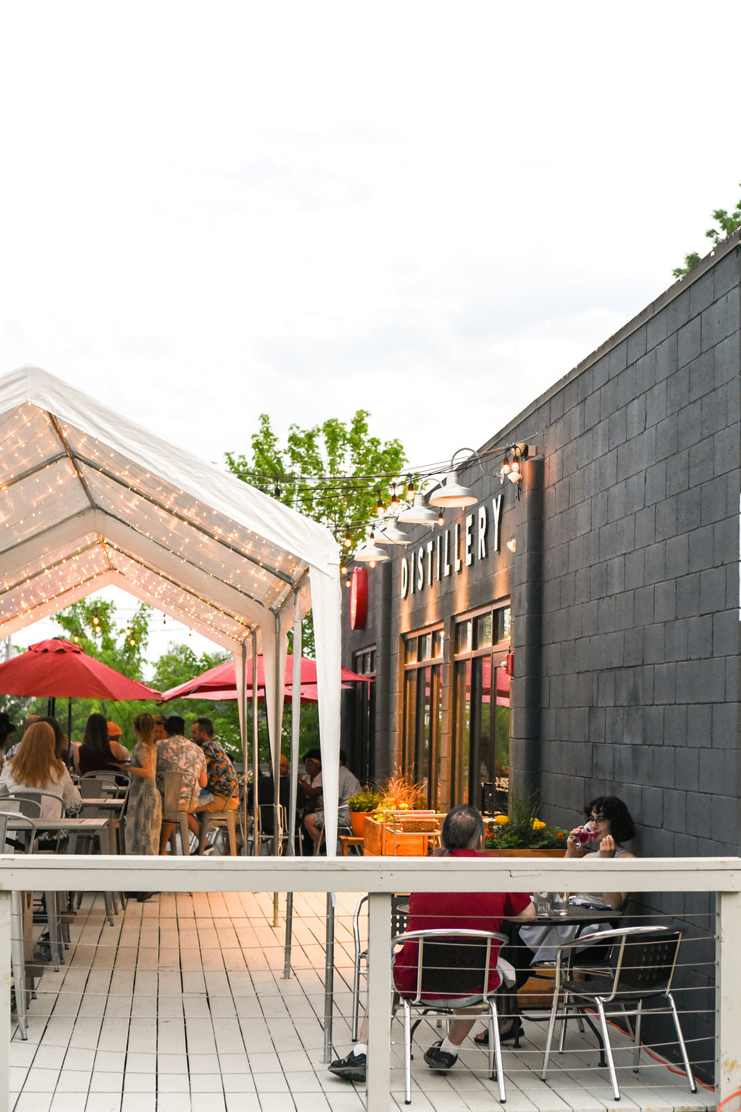 PRE SALE Maui Mule 4-pack – Cardinal Spirits